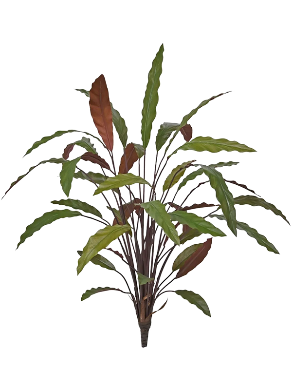 Calathea Red Artificial Plant Premium Faux 75cm Height – Plants For All ...